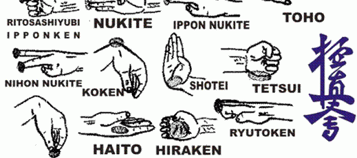 AS ARMAS DO KARATE KYOKUSHINKAIKAN