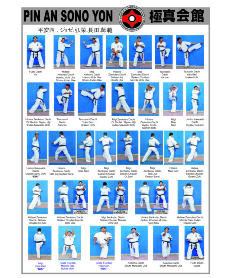 Parte Técnica 3 do Karate Kyokushinkaikan