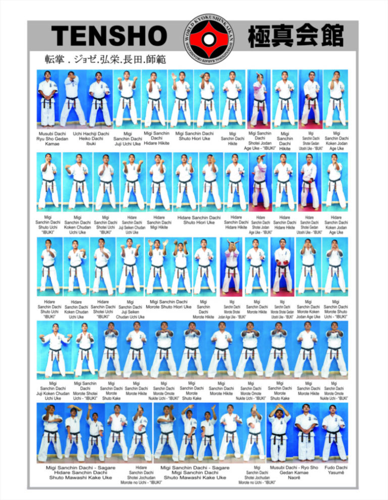 Parte Técnica 3 do Karate Kyokushinkaikan